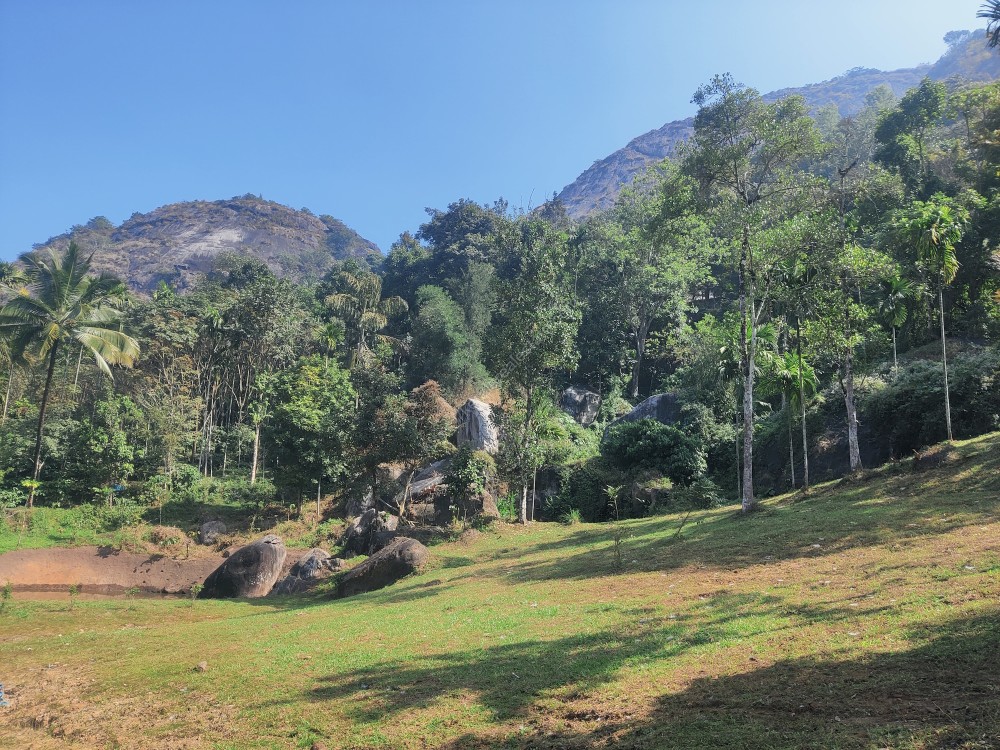 4 Acres of Land for Sale at Meenangadi, Wayanad - Kerala Real Estate