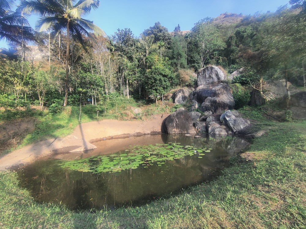 4 Acres of Land for Sale at Meenangadi, Wayanad - Kerala Real Estate