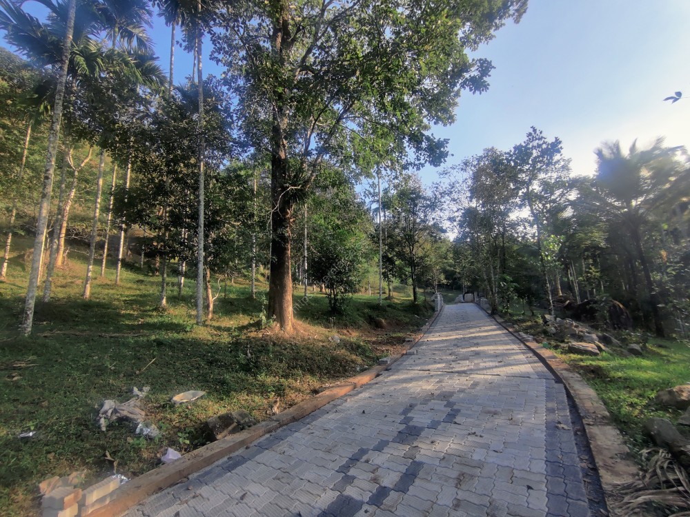 4 Acres of Land for Sale at Meenangadi, Wayanad - Kerala Real Estate