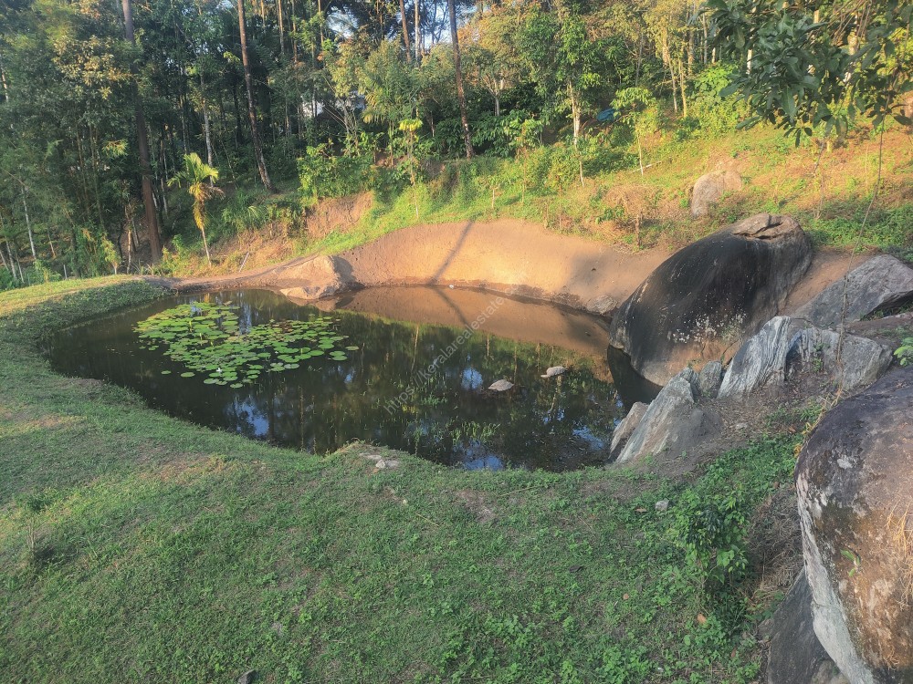 4 Acres of Land for Sale at Meenangadi, Wayanad - Kerala Real Estate