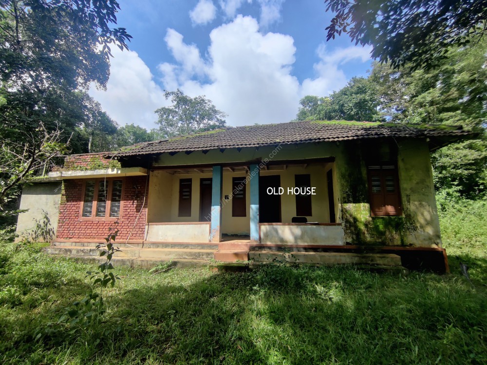 House Plots at Kenichira, Wayanad - Kerala Real Estate