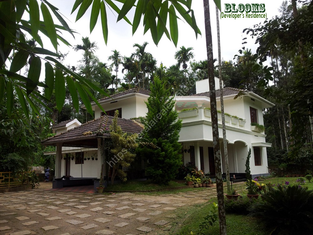 House Plots at Kenichira, Wayanad - Kerala Real Estate