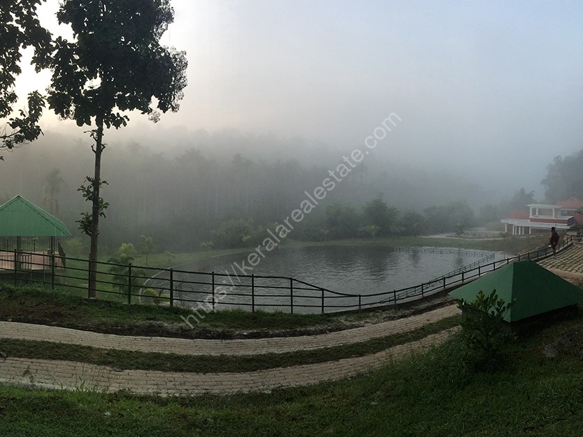 TIMESHARE COTTAGES IN 5 CENTS FOR SALE AT KENICHIRA, WAYANAD - Kerala Real Estate