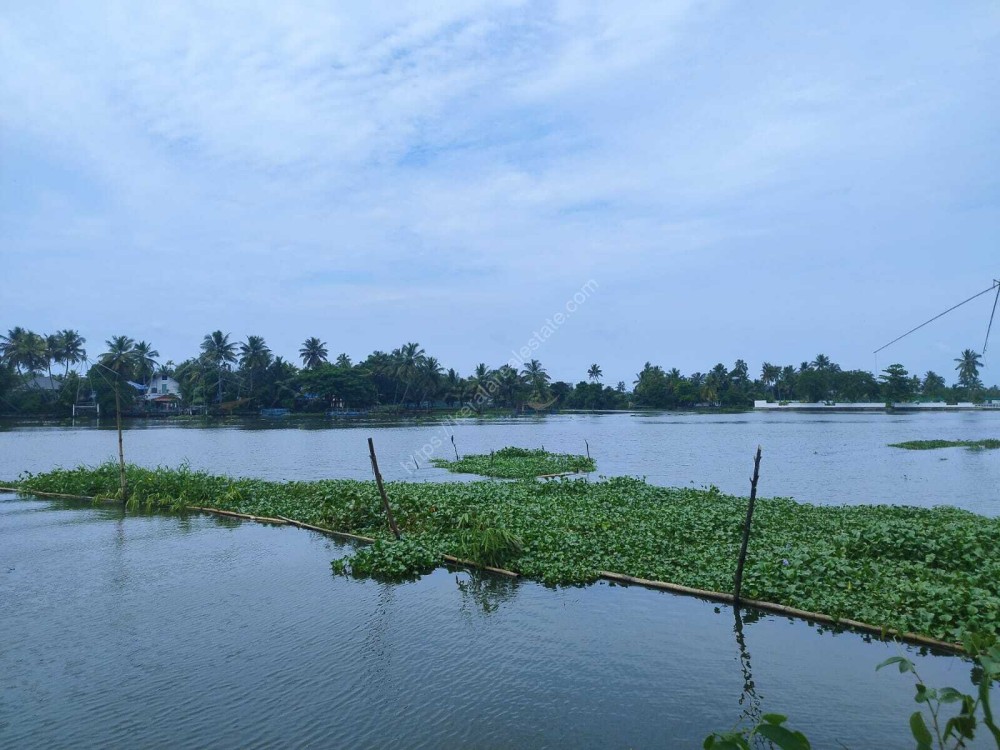 1 Acre Waterfront Property for Sale at Kothad, Ernakulam - Kerala Real ...