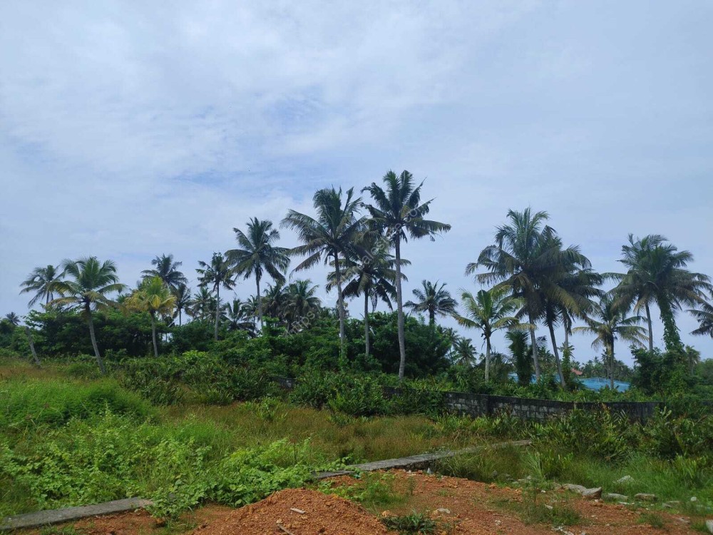1 Acre Waterfront Property for Sale at Kothad, Ernakulam - Kerala Real ...