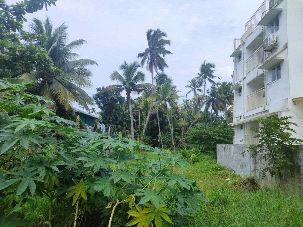 1 Acre of Commercial Property for Sale at Kothad, Ernakulam - Kerala ...