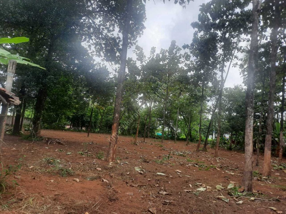 40 Cents of Prime Residential Land for Sale at Kottiyam, Kollam ...