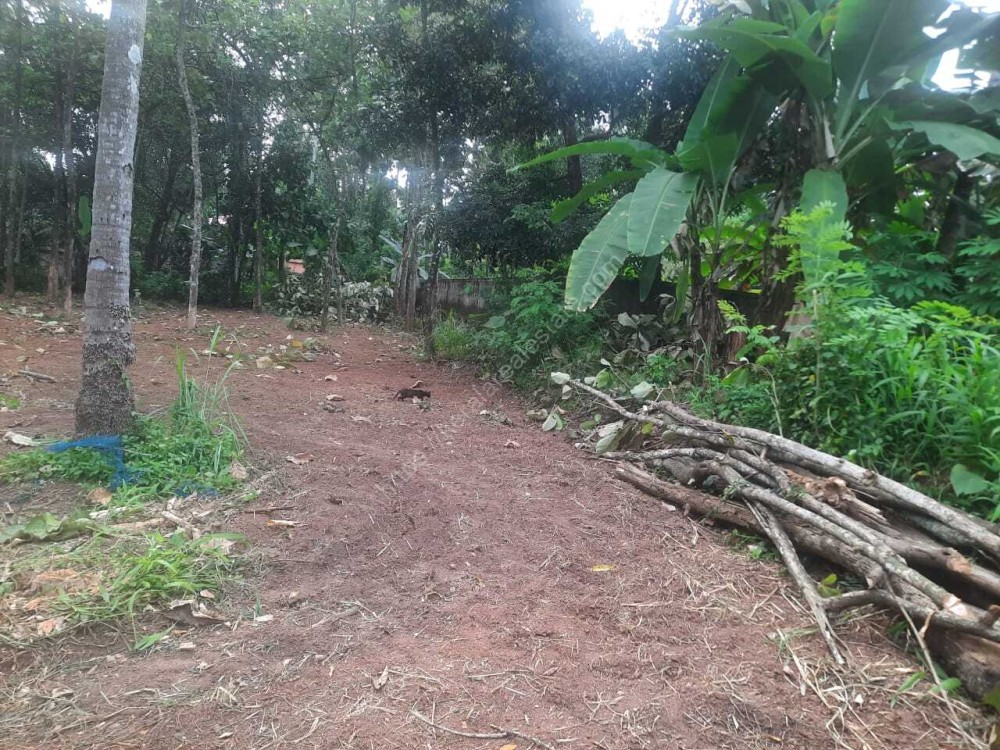 40 Cents of Prime Residential Land for Sale at Kottiyam, Kollam ...