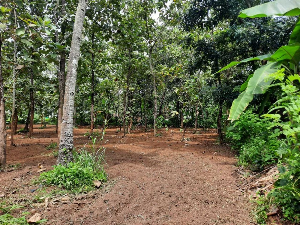 40 Cents of Prime Residential Land for Sale at Kottiyam, Kollam ...