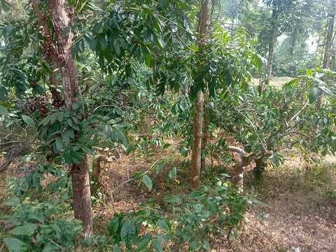 Land for Sale in Kalpetta, Wayanad - Kerala Real Estate
