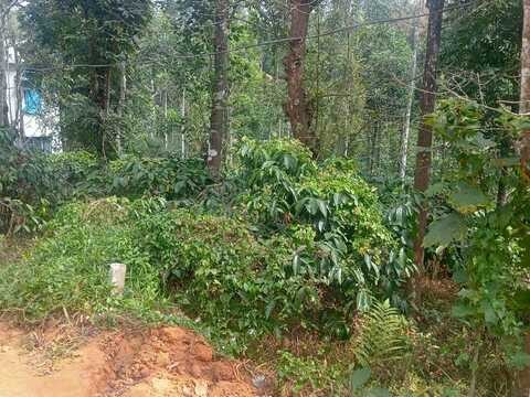 Land for Sale in Kalpetta, Wayanad - Kerala Real Estate