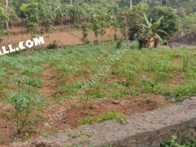 Private Land For Sale at Kunnamthanam, Thiruvalla, Pathanamthitta ...