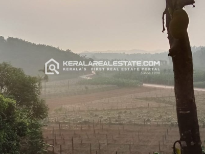 Beautiful Paddy-Facing Land for Sale in Valad, Wayanad | Plots ...